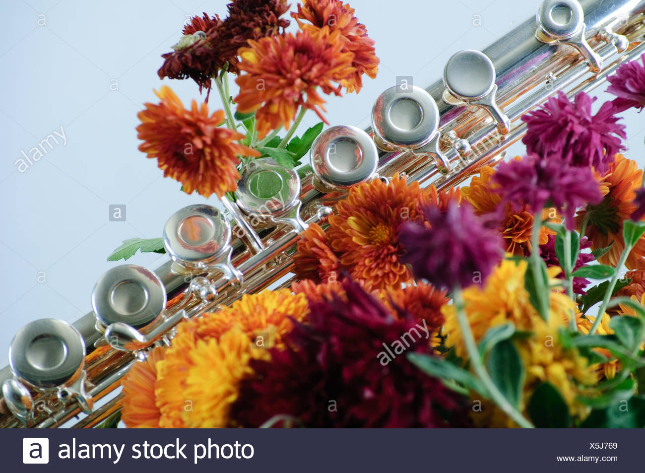 Woodwind Flute High Resolution Stock Photography and Images - Alamy