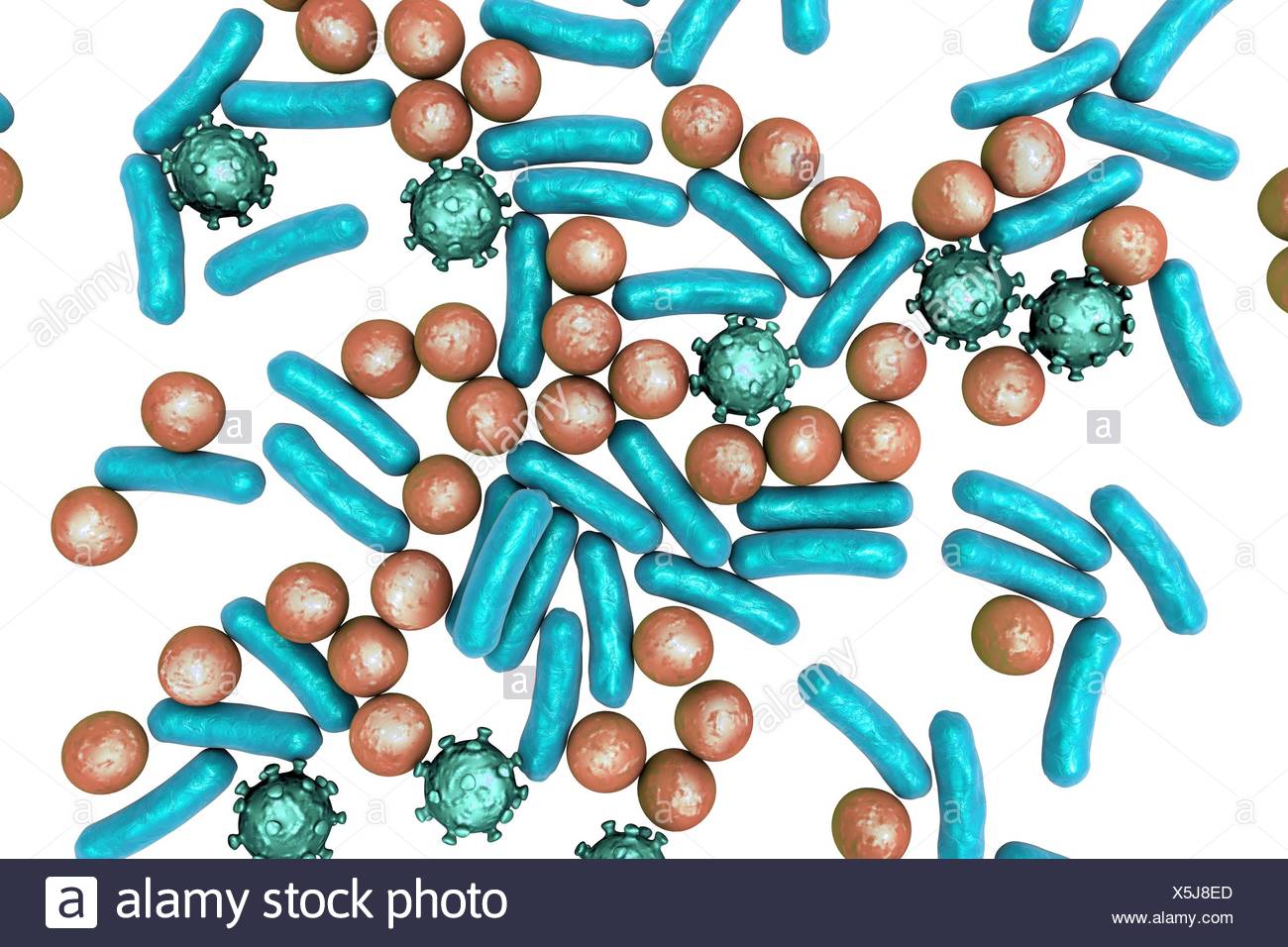 Bacterial Shapes High Resolution Stock Photography and Images - Alamy