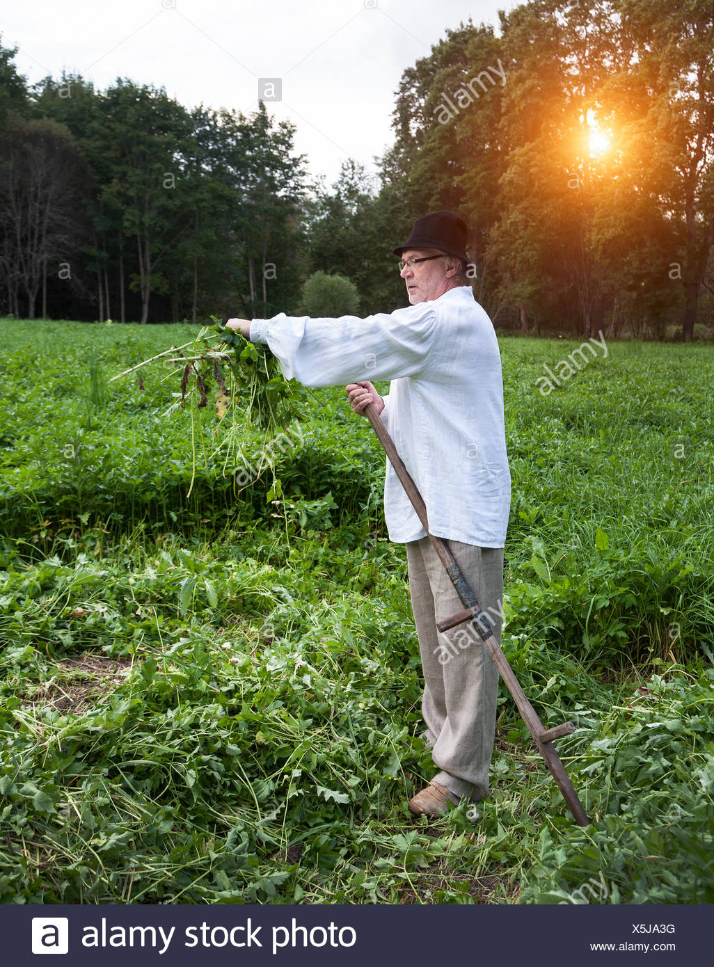 Farmer Cutting Grass With A Scythe High Resolution Stock Photography ...