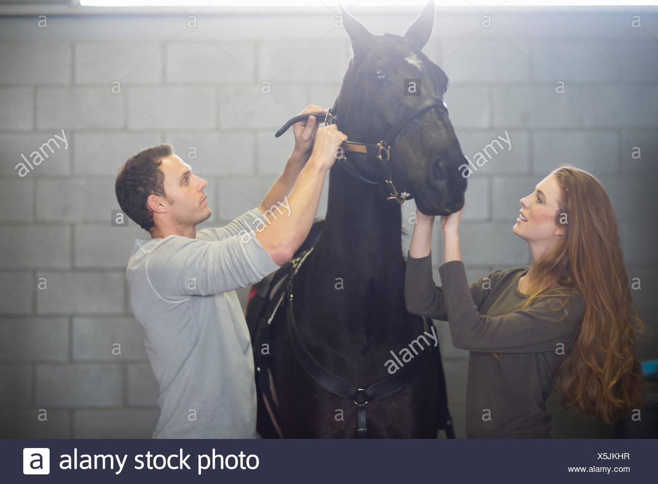 Woman In Stables High Resolution Stock Photography and Images - Alamy