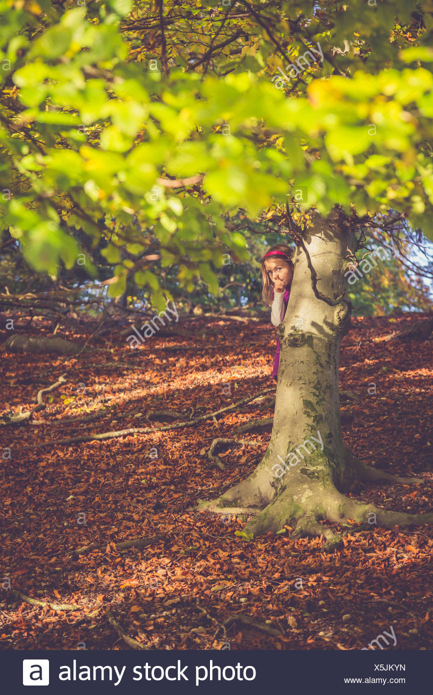 Hiding Behind A Tree High Resolution Stock Photography and Images - Alamy