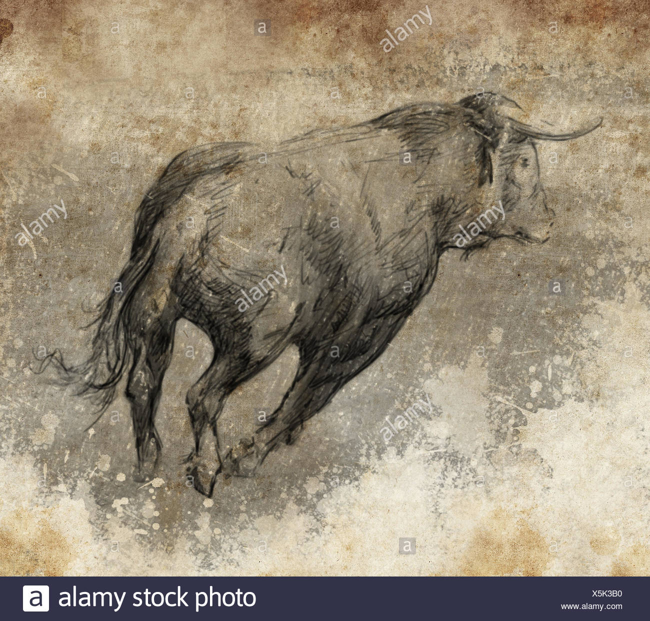 Bull Sketch Stock Photos & Bull Sketch Stock Images - Alamy