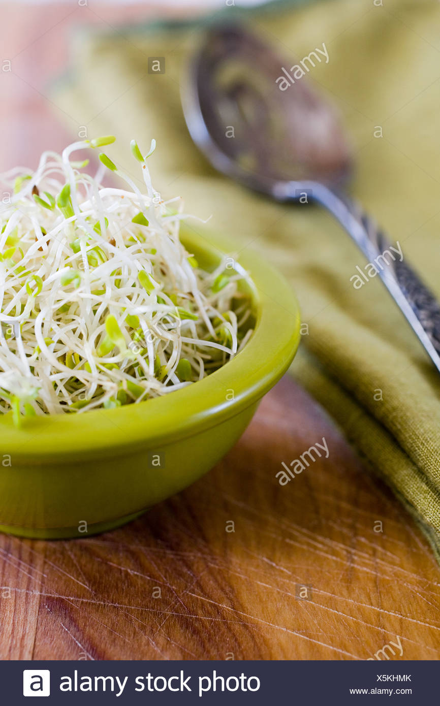 Alfalfa Stock Photos & Alfalfa Stock Images - Alamy