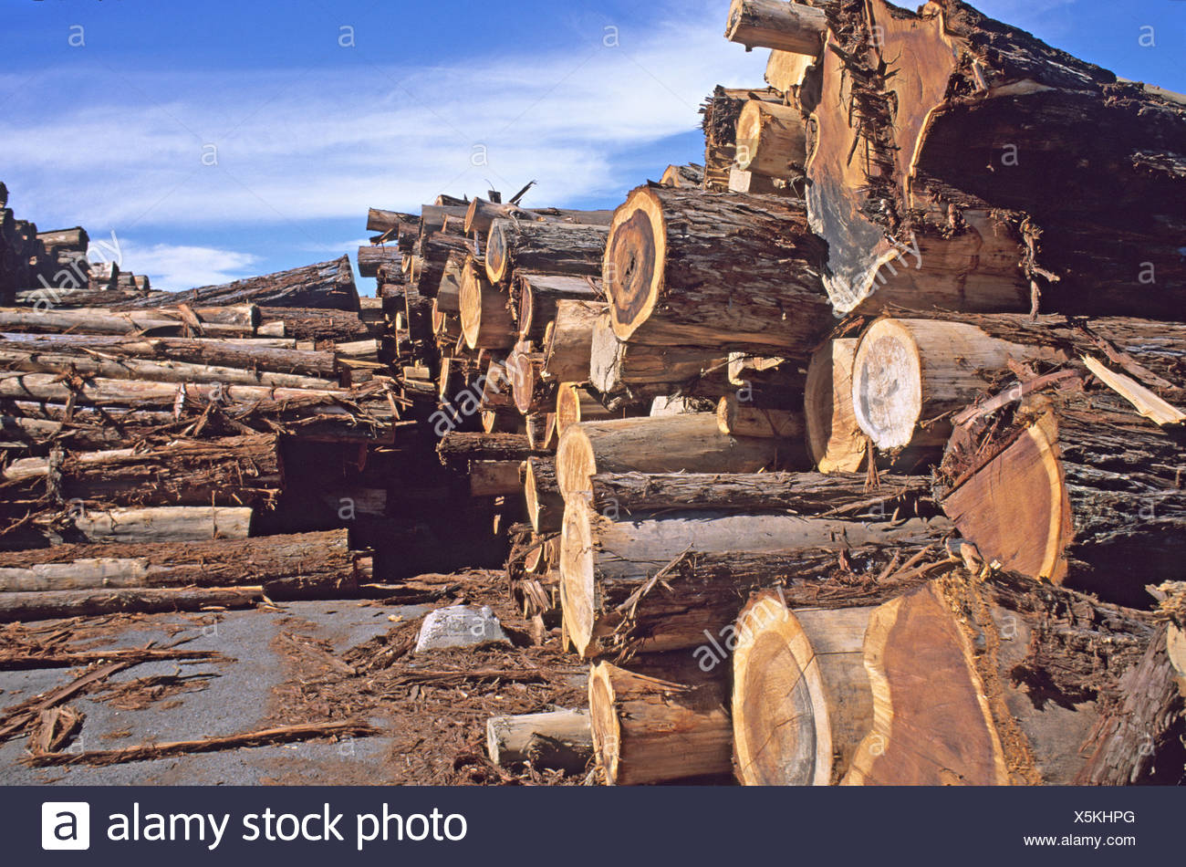 Cut Redwood Lumber High Resolution Stock Photography and Images - Alamy