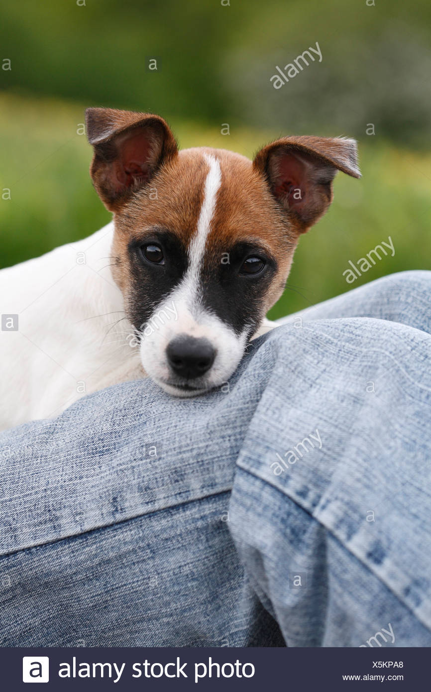 Persons Legs High Resolution Stock Photography and Images - Alamy