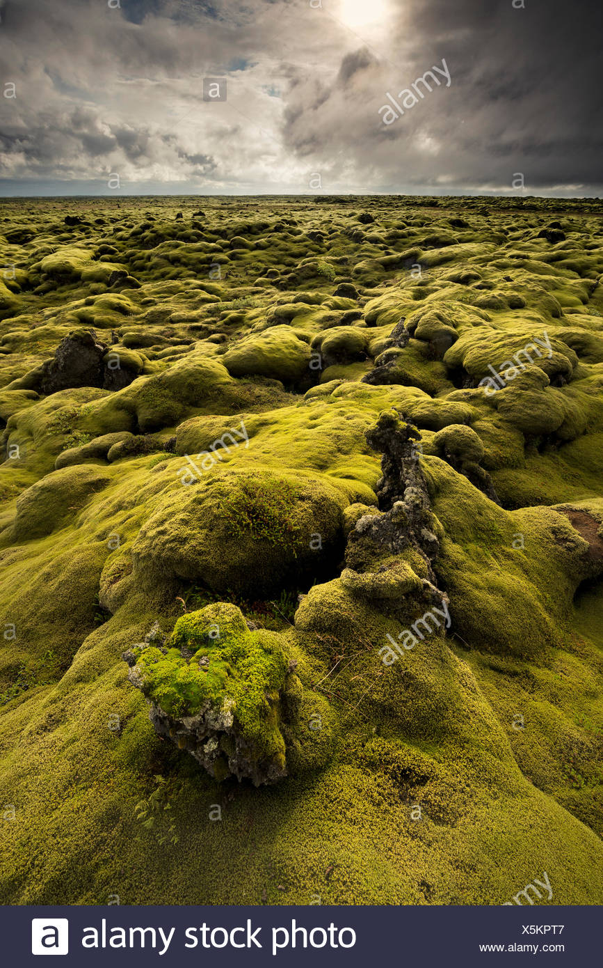 Laki Island High Resolution Stock Photography and Images - Alamy