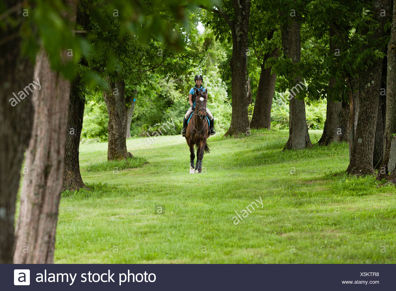 Horse Riding Person Definition at Mary Sprent blog