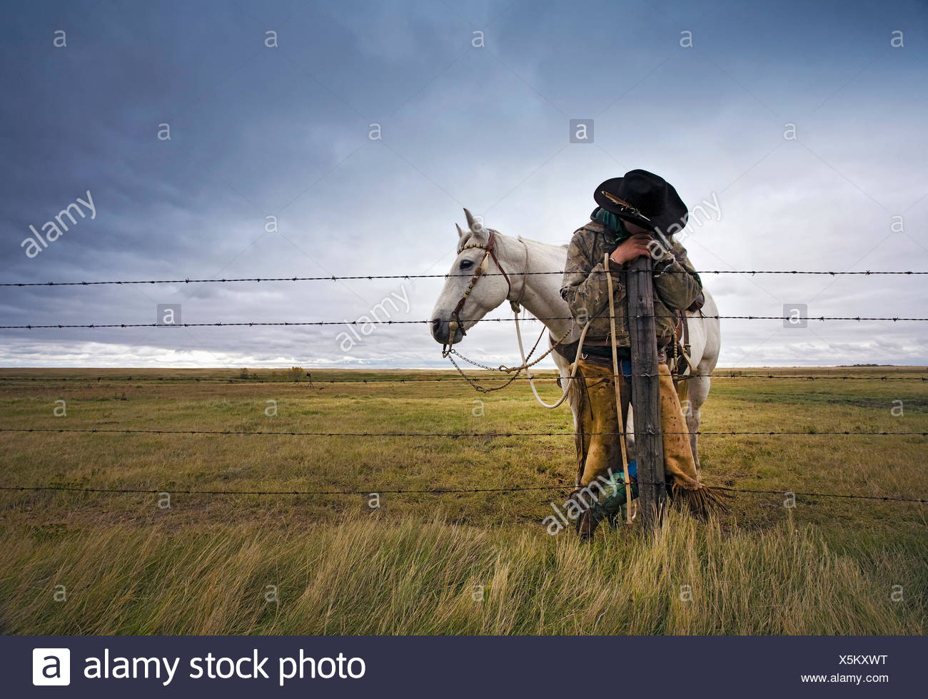 Fence Post Stock Photos & Fence Post Stock Images - Alamy