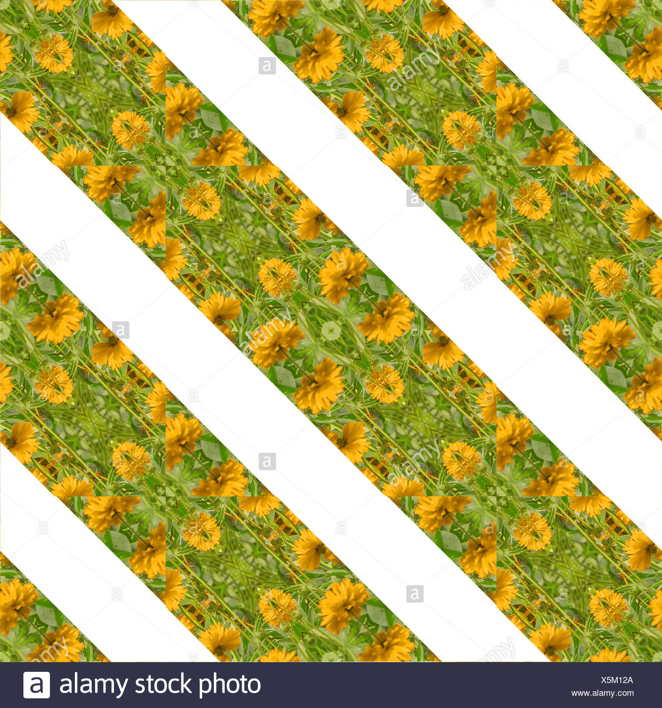 Indian Pattern High Resolution Stock Photography and Images - Alamy