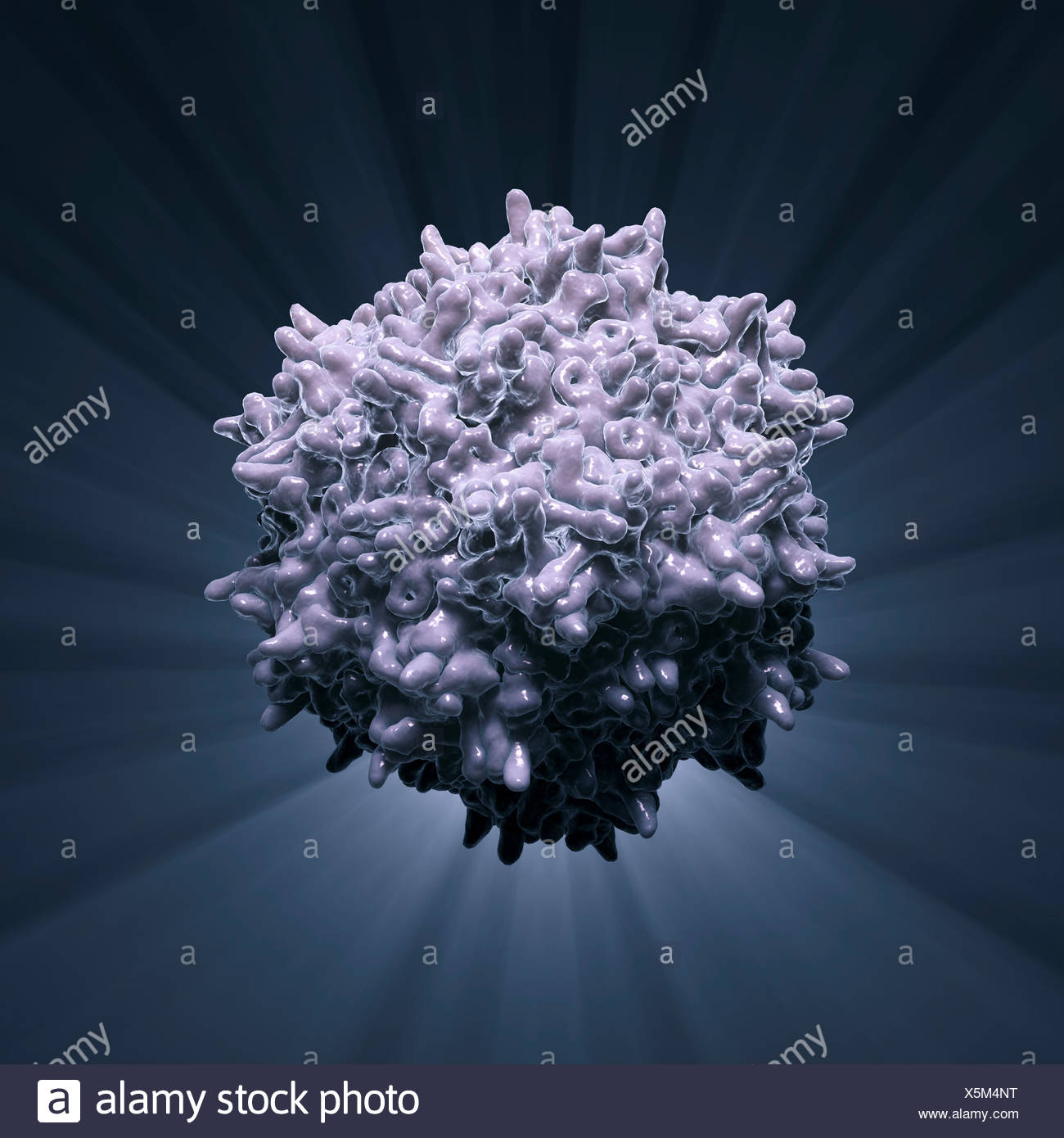 Adeno Associated Virus High Resolution Stock Photography and Images - Alamy