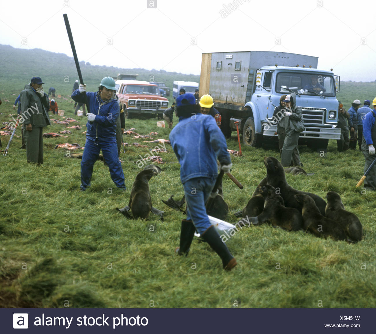 Aleut High Resolution Stock Photography and Images - Alamy