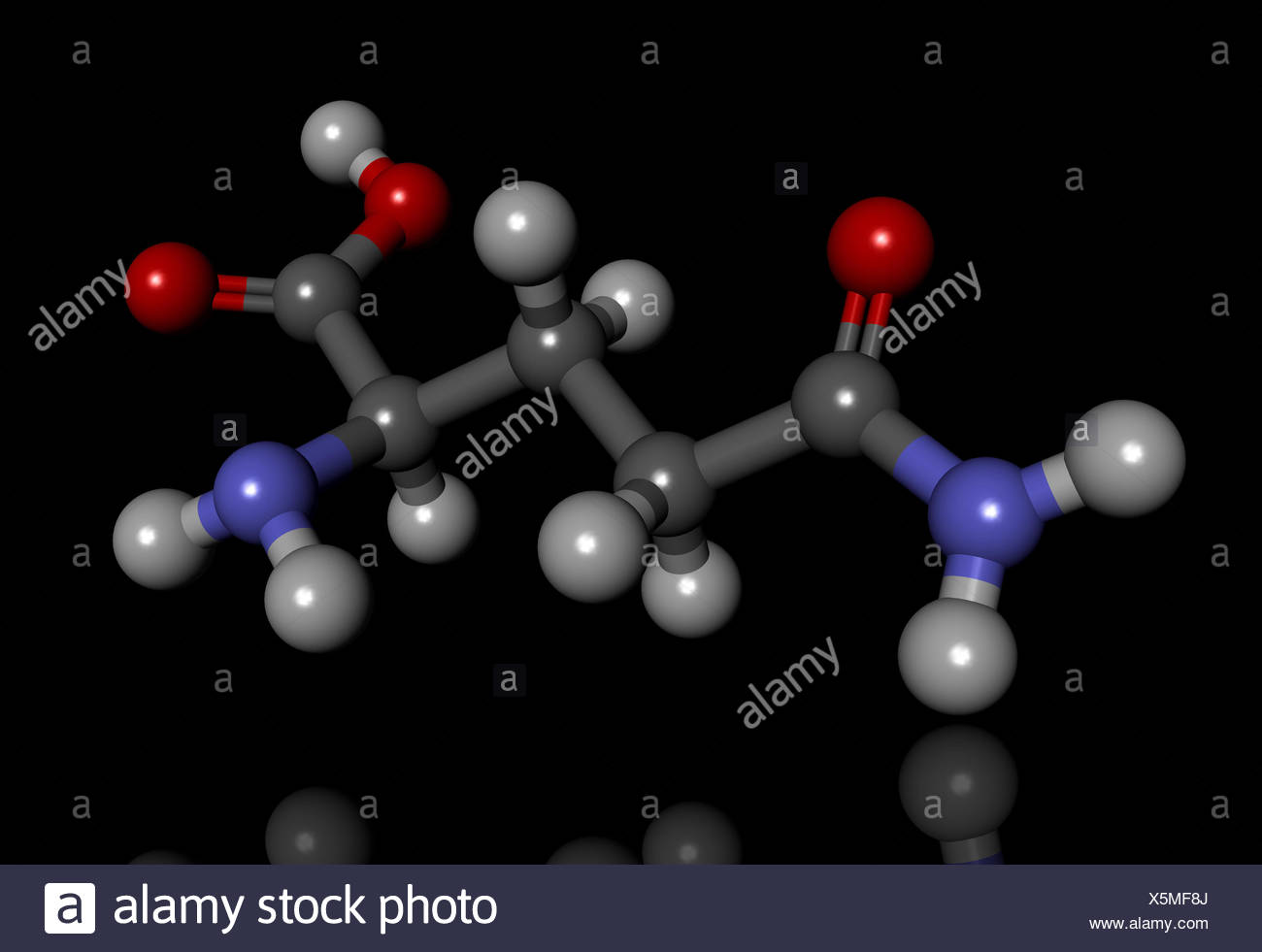 Glutamine Molecule Stock Photos & Glutamine Molecule Stock Images - Alamy