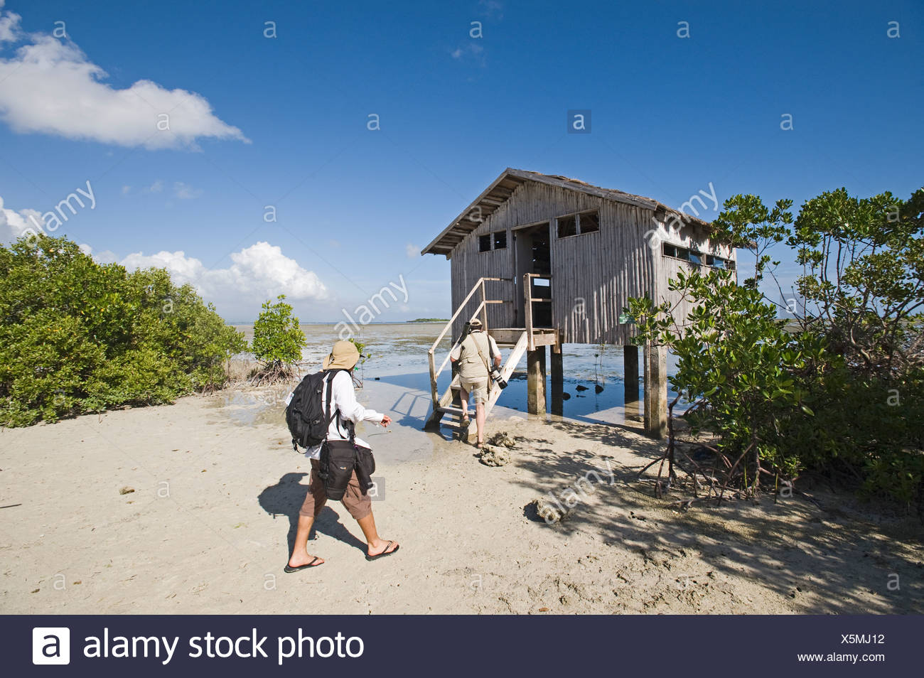 Olango Island Bird Sanctuary High Resolution Stock Photography and ...