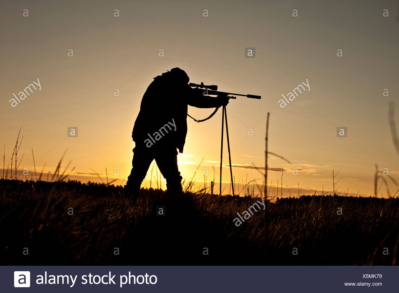 Hunter Rifle Aiming Hunting One Man High Resolution Stock Photography ...