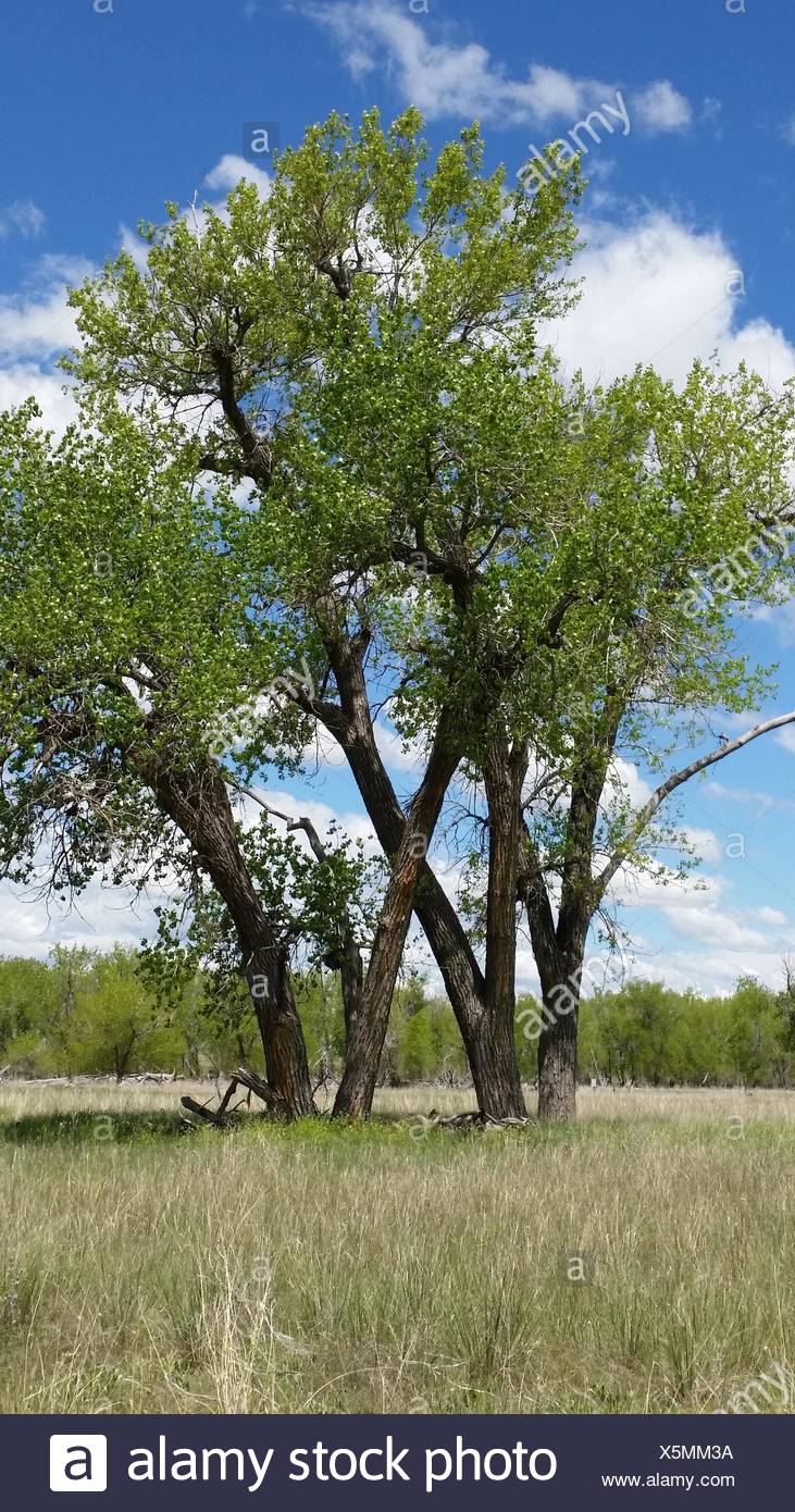 Great Plains Colorado High Resolution Stock Photography and Images - Alamy