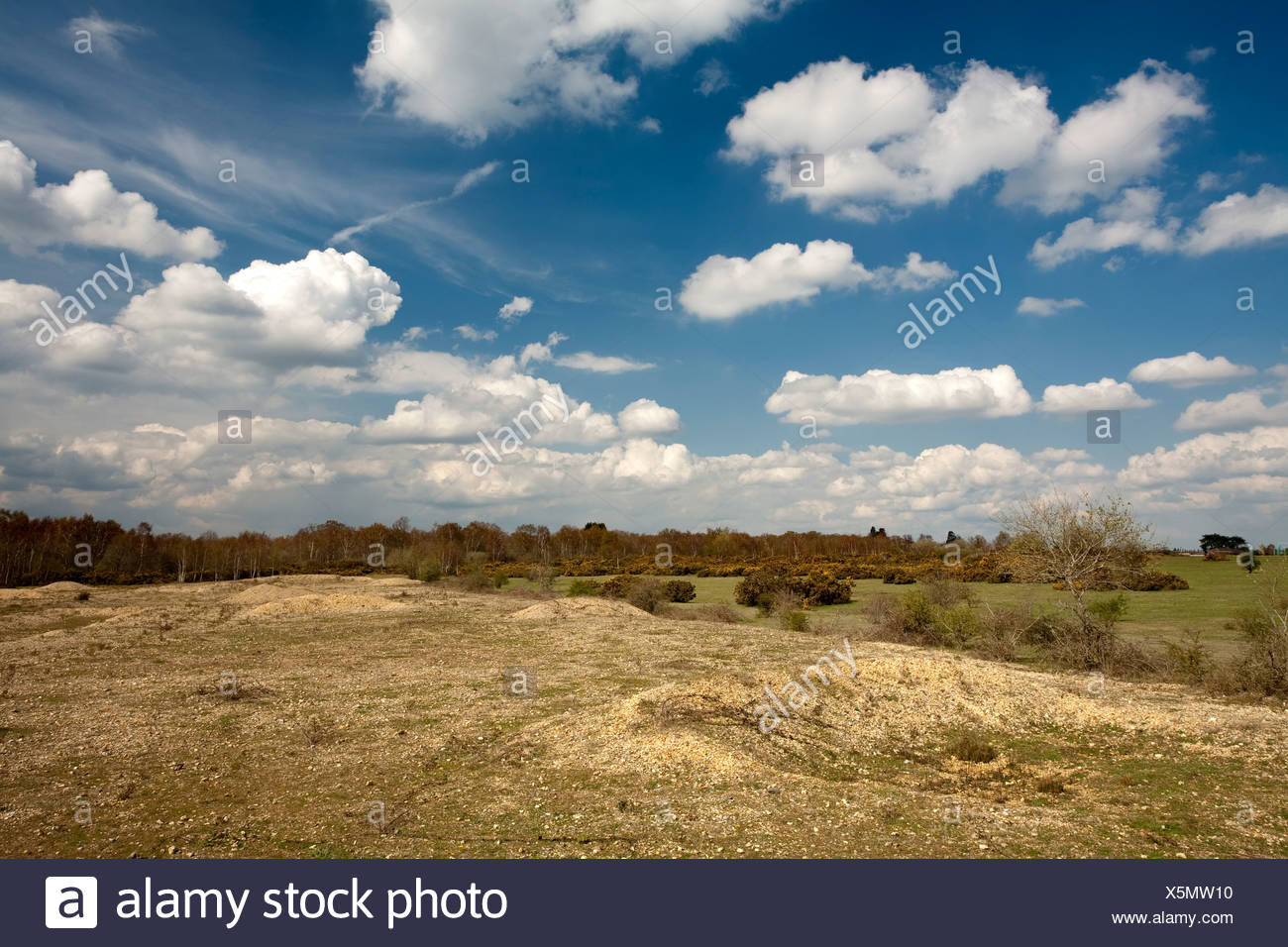 Greenham Common High Resolution Stock Photography and Images - Alamy