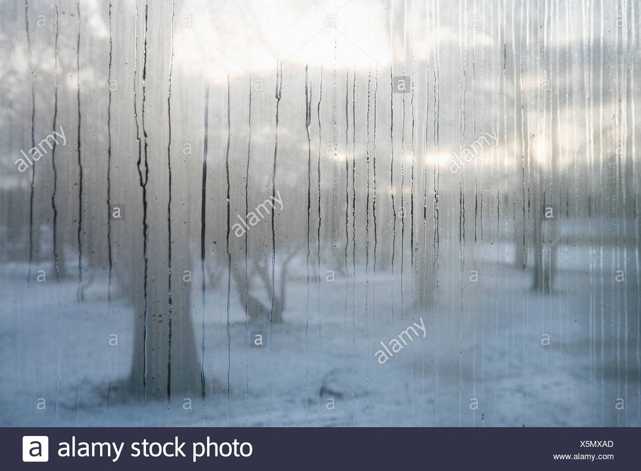 Window Glass Pane High Resolution Stock Photography and Images - Alamy