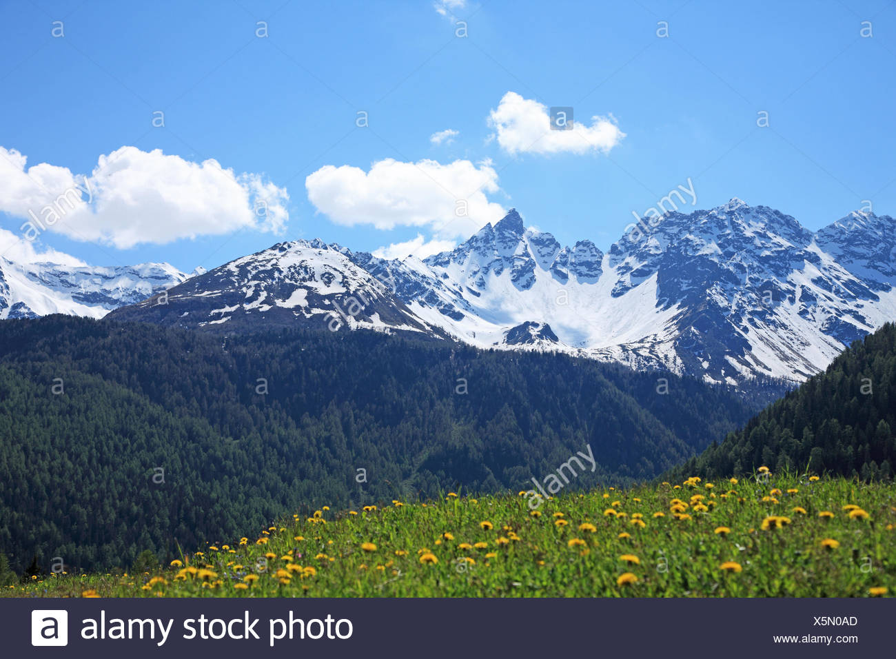Poschiavo High Resolution Stock Photography and Images - Alamy