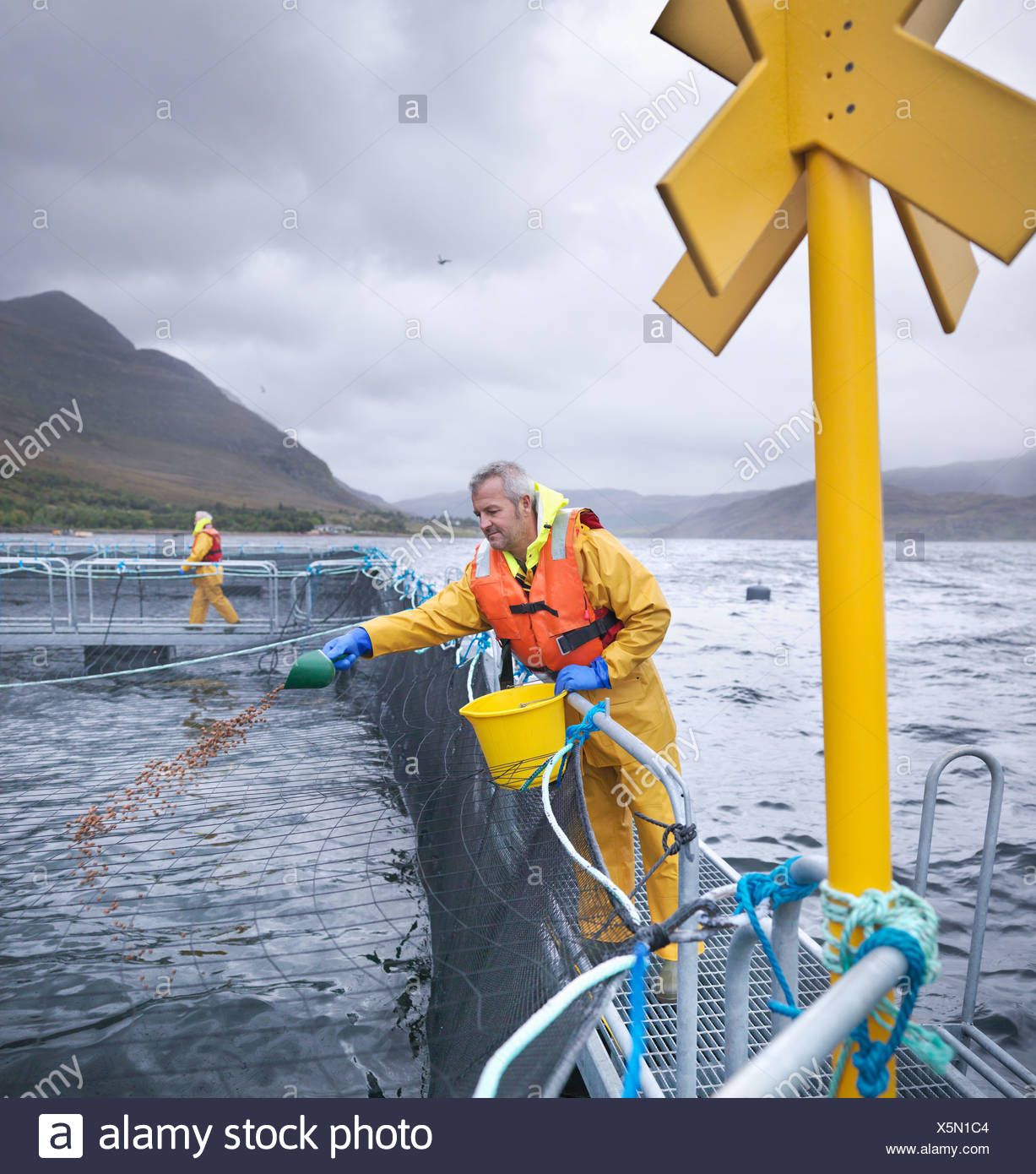 Fish Farm Feeding High Resolution Stock Photography and Images - Alamy