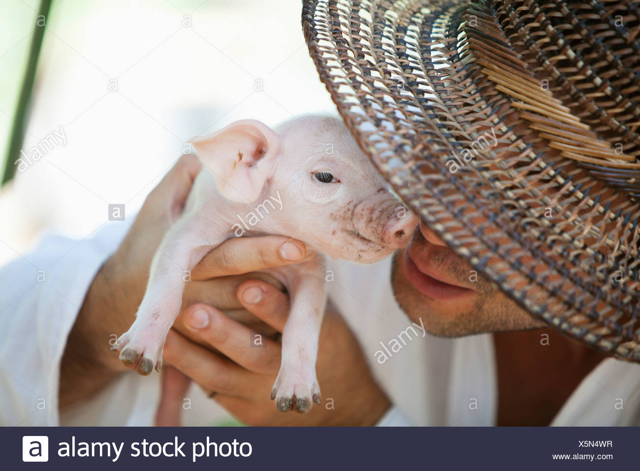 Man Pig Head High Resolution Stock Photography and Images - Alamy