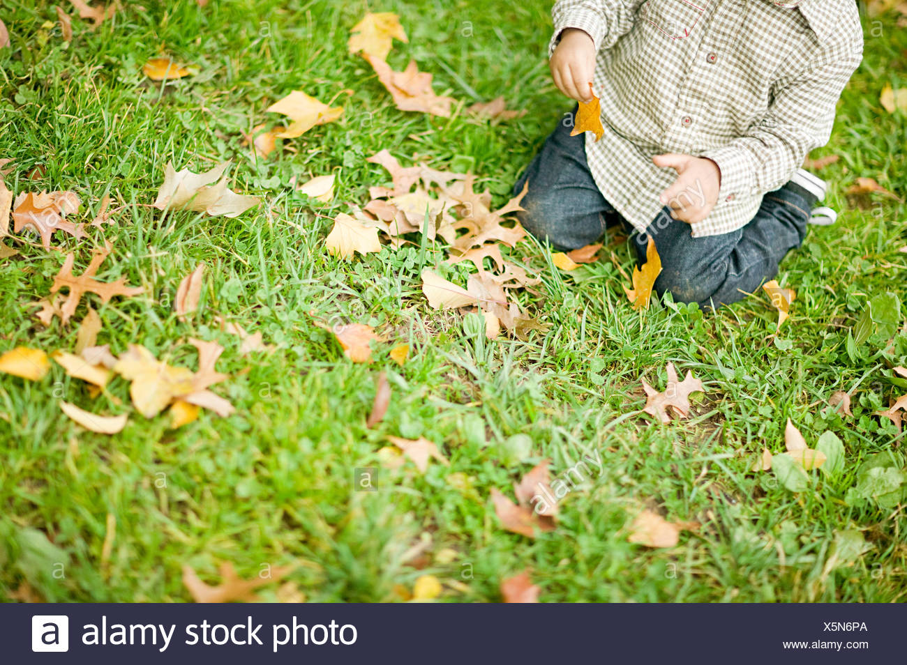 Child Leaves High Resolution Stock Photography and Images - Alamy