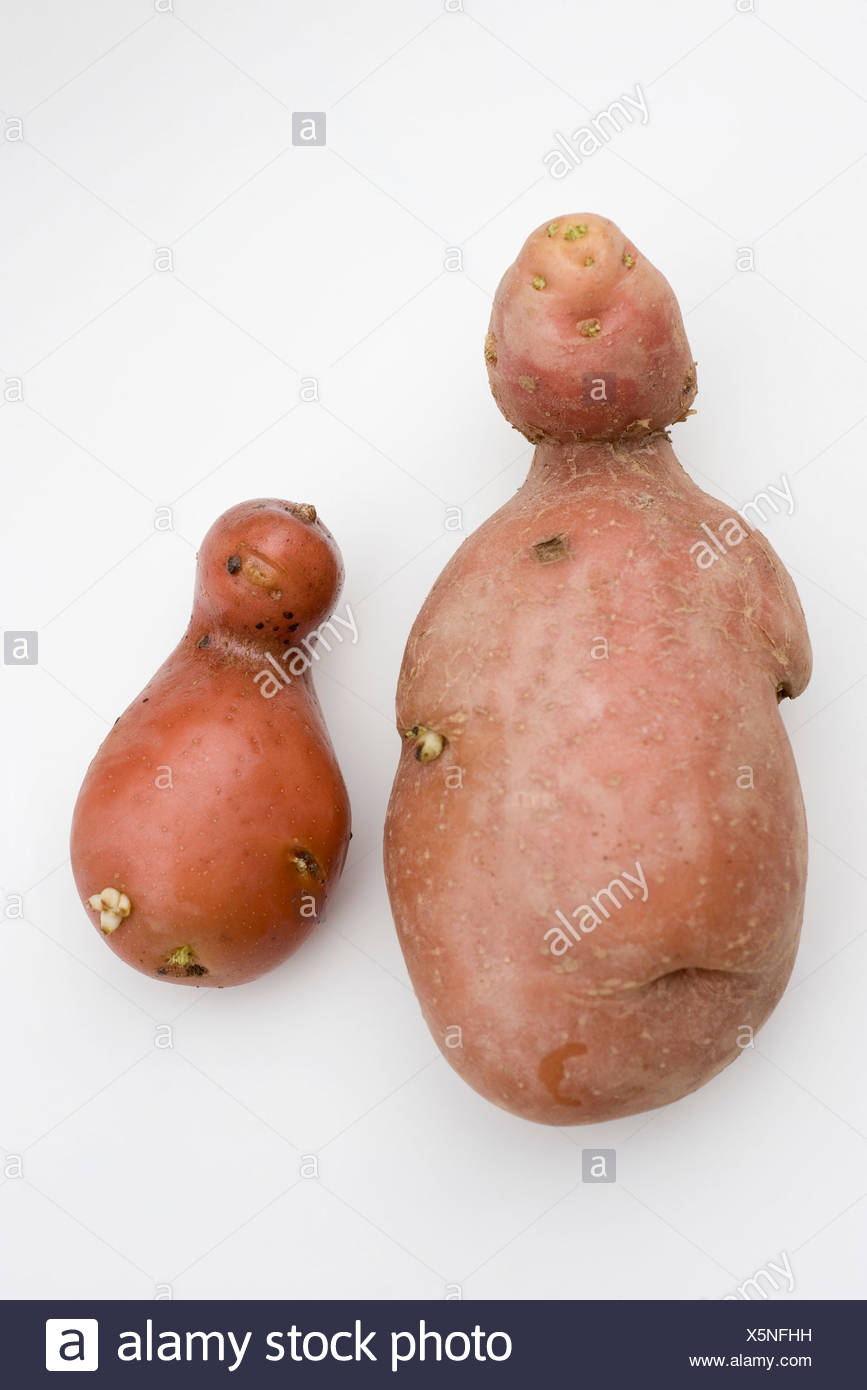 Weird Potato High Resolution Stock Photography and Images - Alamy