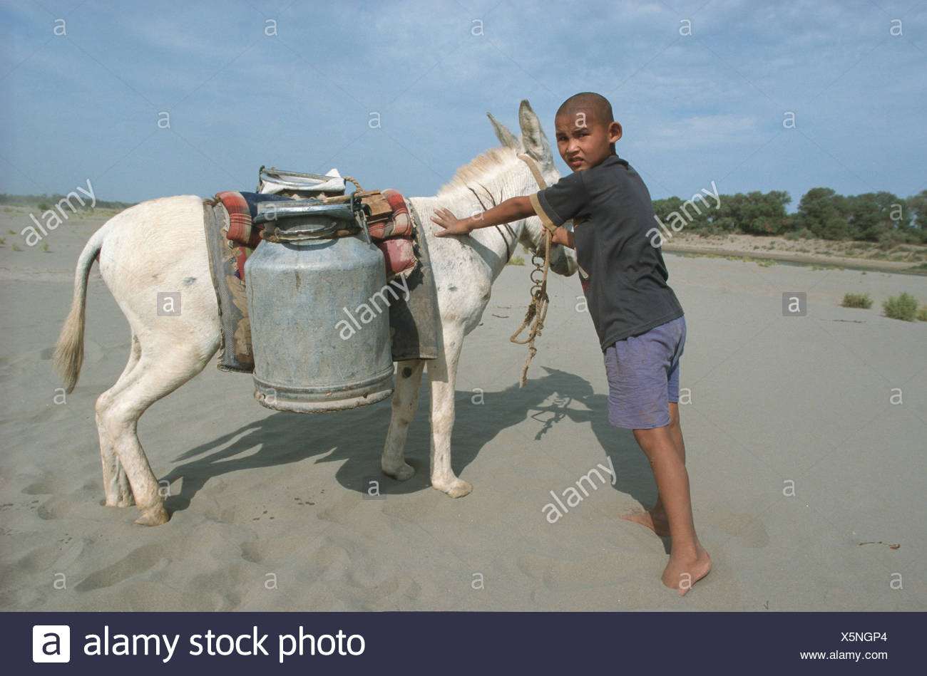 Donkey Carrying Water Stock Photos & Donkey Carrying Water Stock Images ...