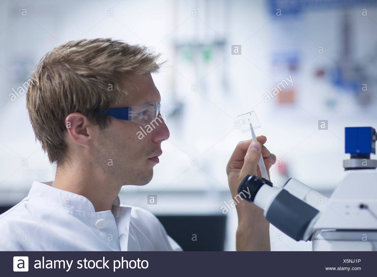 Scientist Using Microscope High Resolution Stock Photography and Images ...