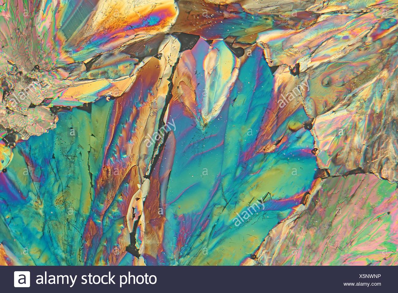 Sugar Microscope High Resolution Stock Photography and Images - Alamy