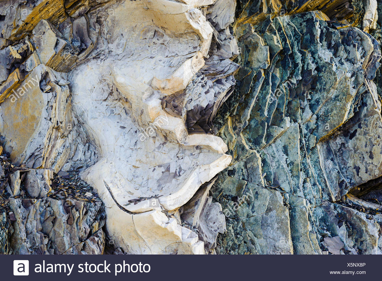 Ordovician Limestone High Resolution Stock Photography and Images - Alamy