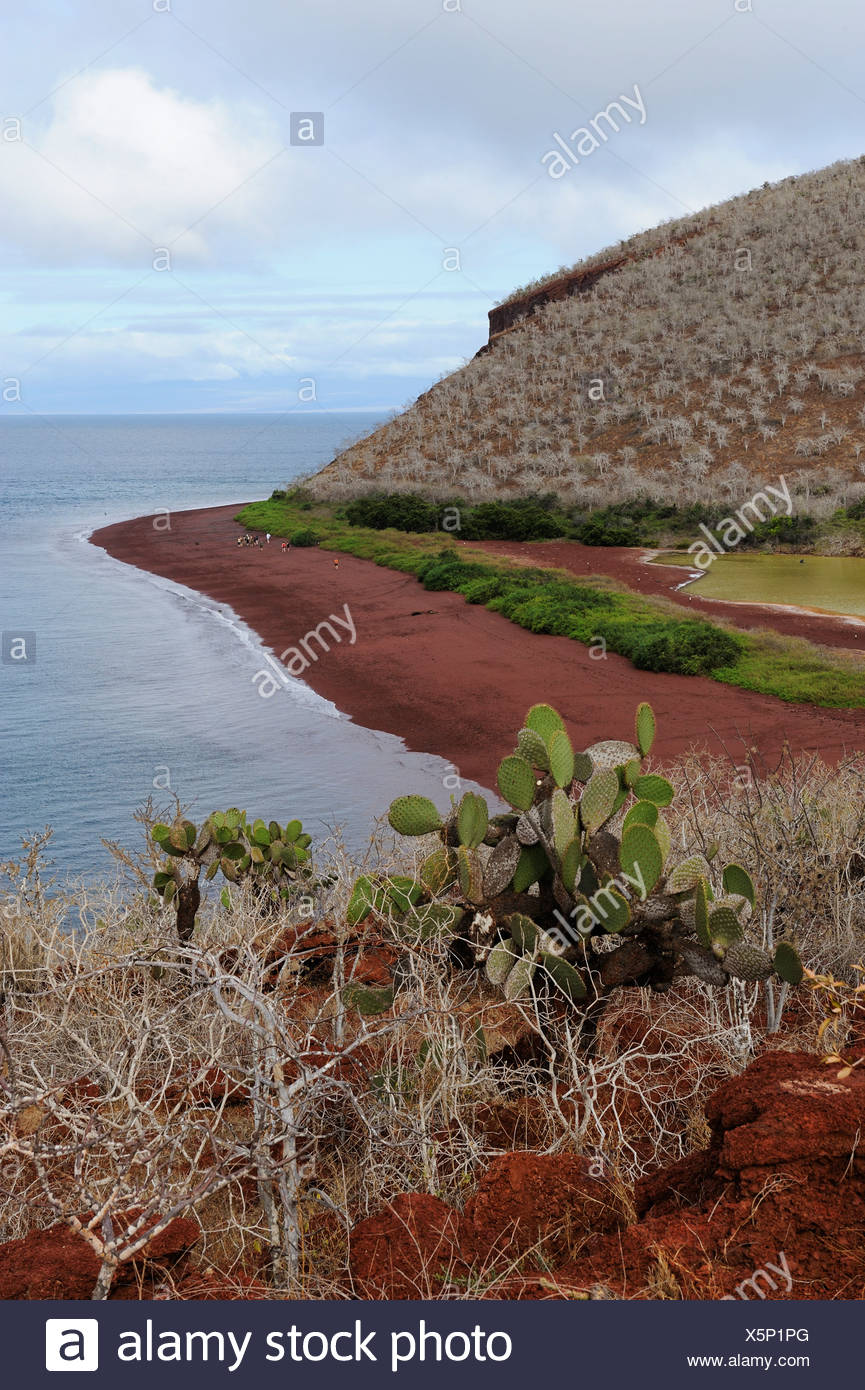 Red Sand Beach Rabida Galapagos High Resolution Stock Photography and ...