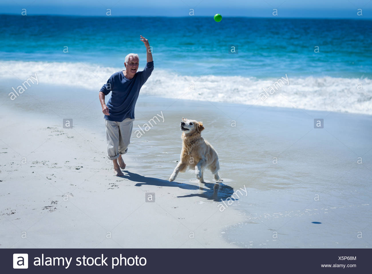 Throwing Ball For Dog High Resolution Stock Photography and Images - Alamy