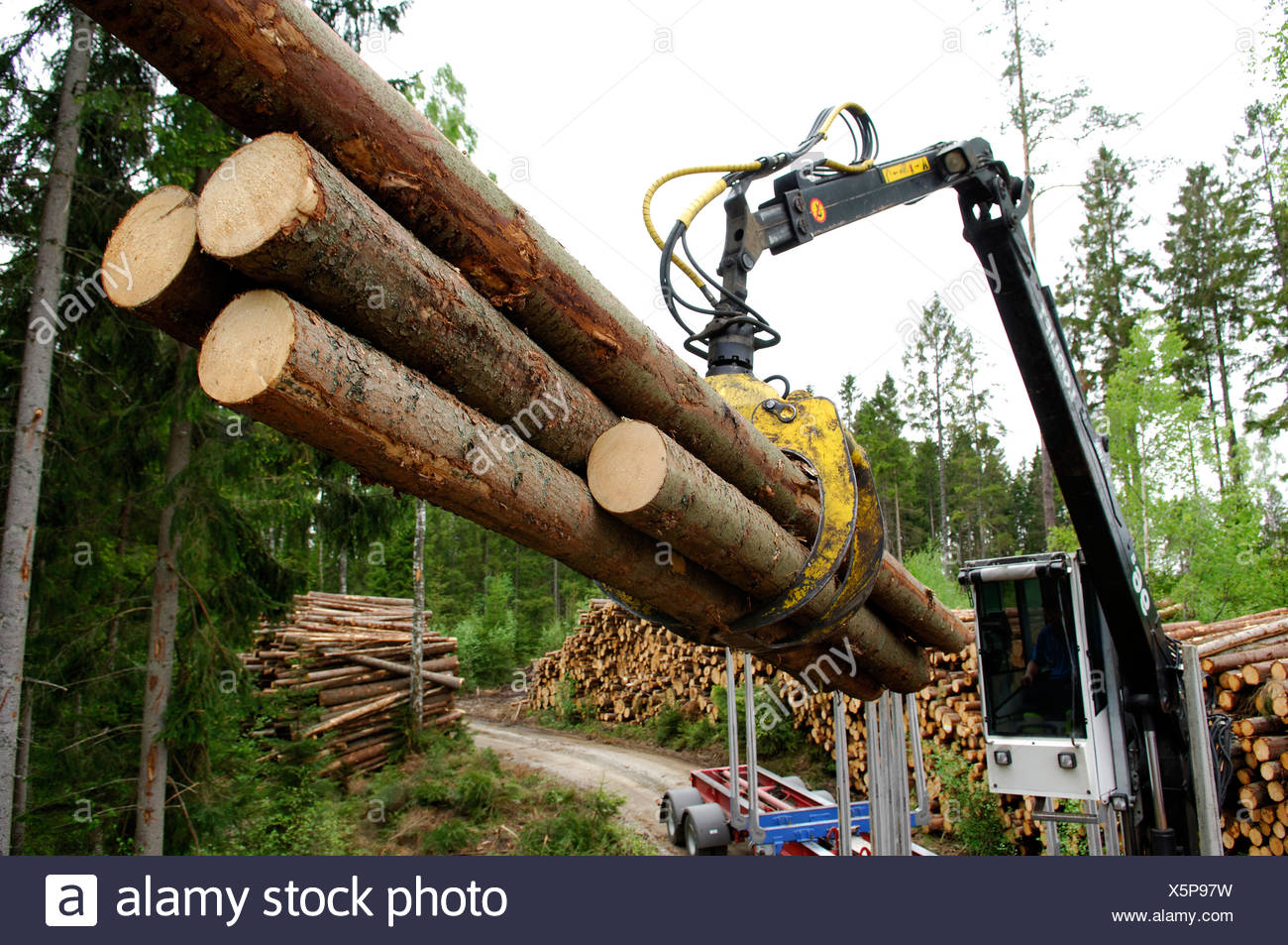 Crane Lifting Timber High Resolution Stock Photography and Images - Alamy