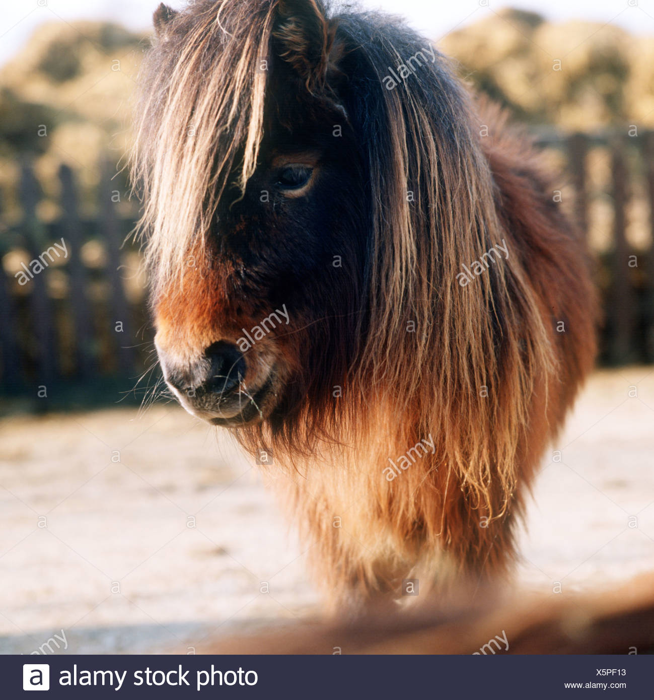 100 004 150 High Resolution Stock Photography and Images - Alamy