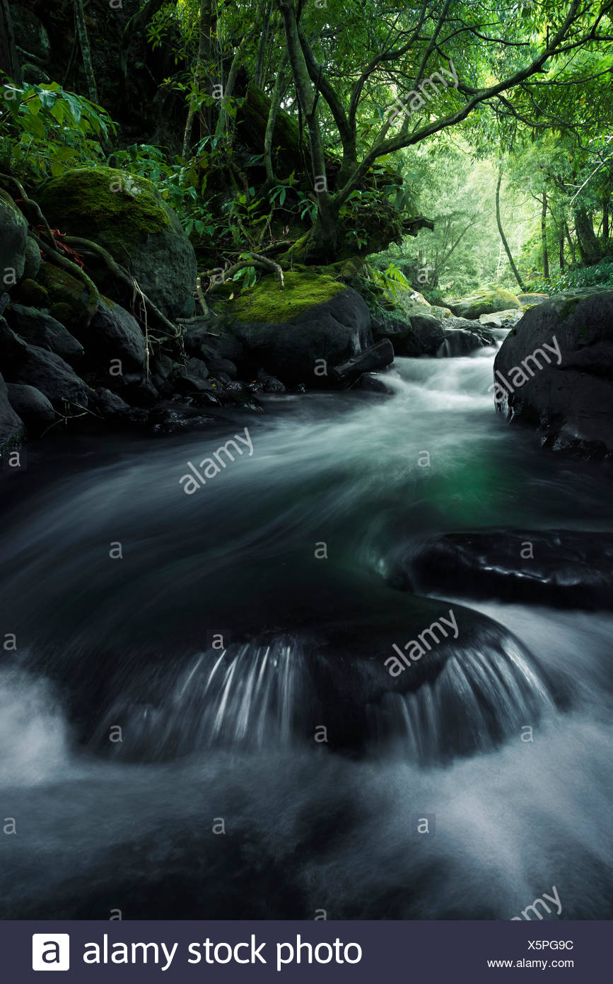 Azores Portugal High Resolution Stock Photography and Images - Alamy