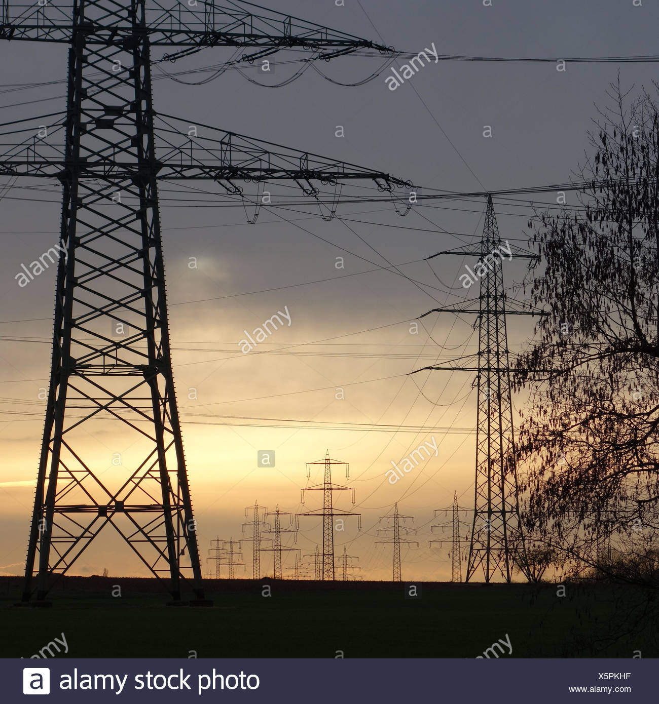 High Tension Power Lines Power Poles High Resolution Stock Photography ...