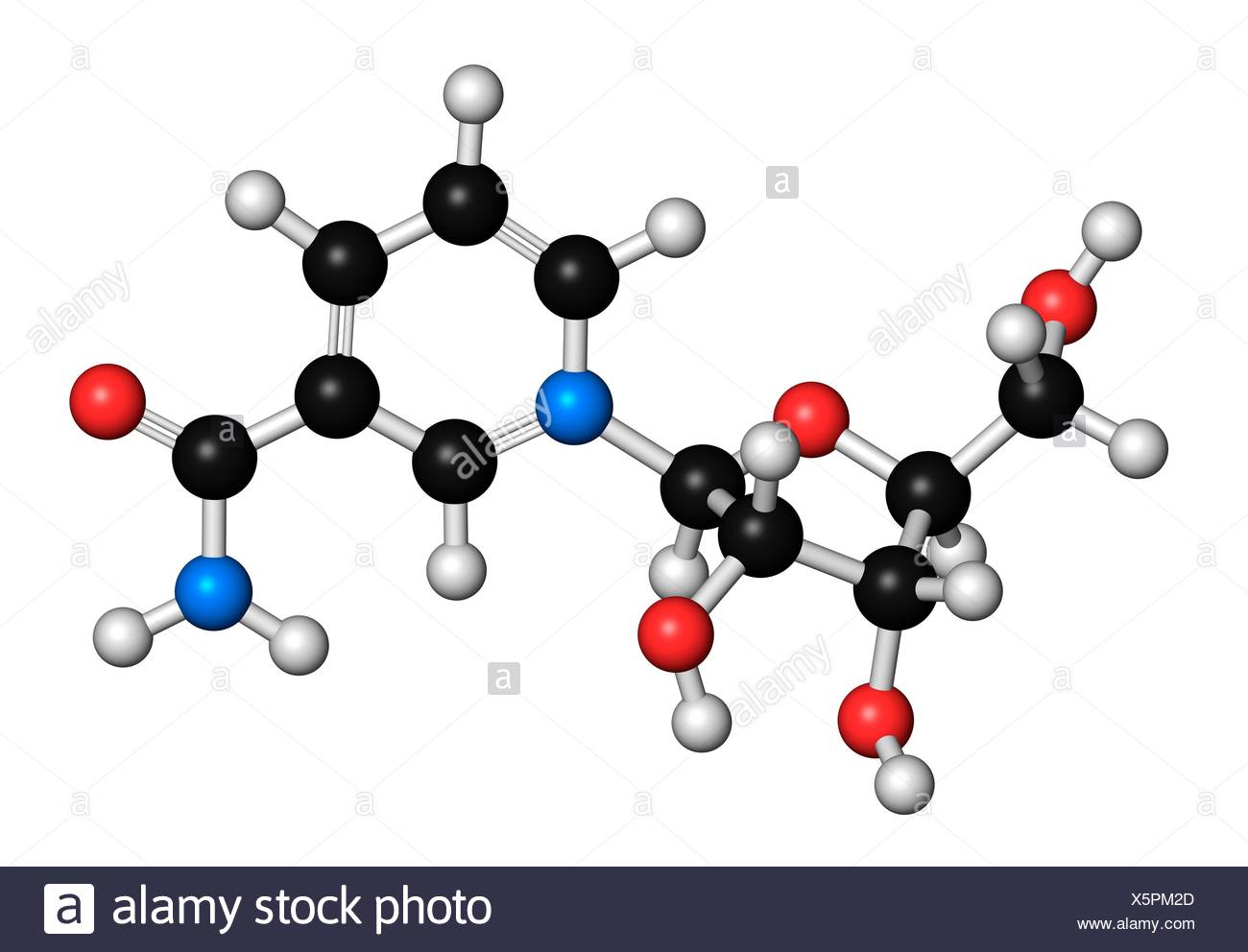 Nicotinamide Mononucleotide Molecule High Resolution Stock Photography ...
