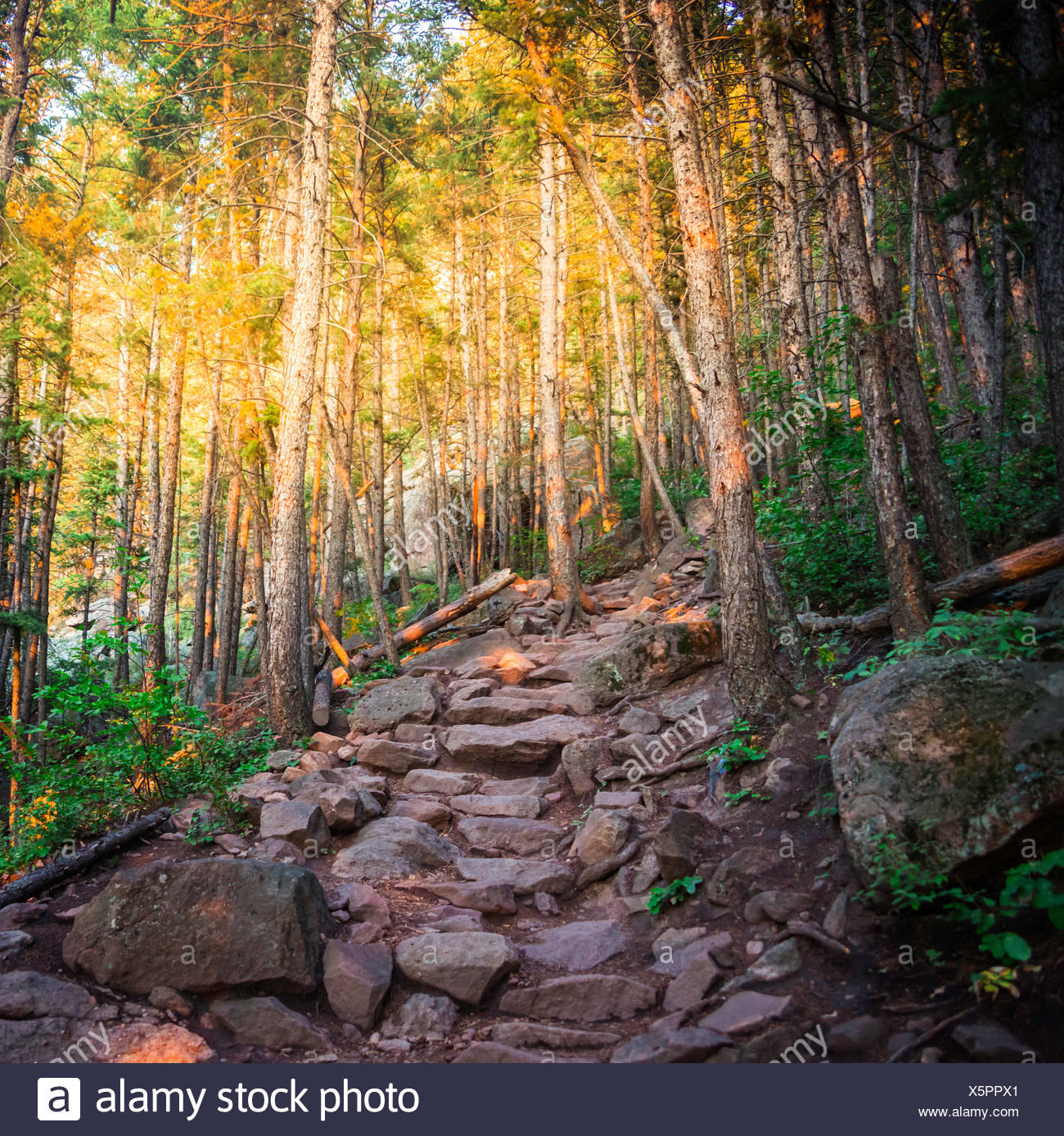 Istock Stock Photos & Istock Stock Images - Alamy