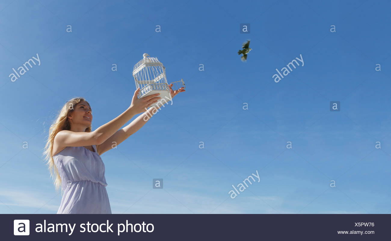 Releasing Bird From Cage High Resolution Stock Photography and Images ...