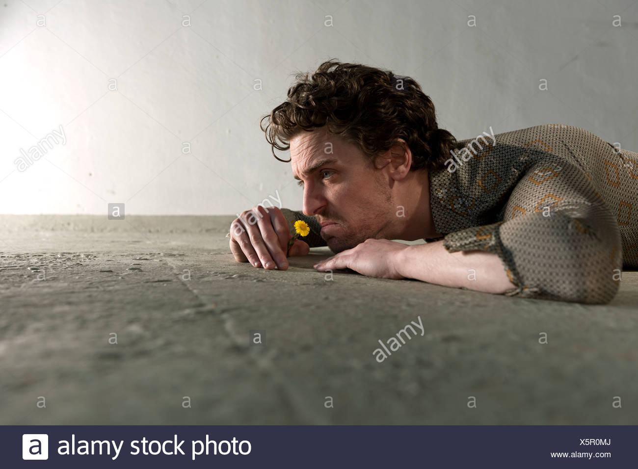 Side View Flower High Resolution Stock Photography and Images - Alamy