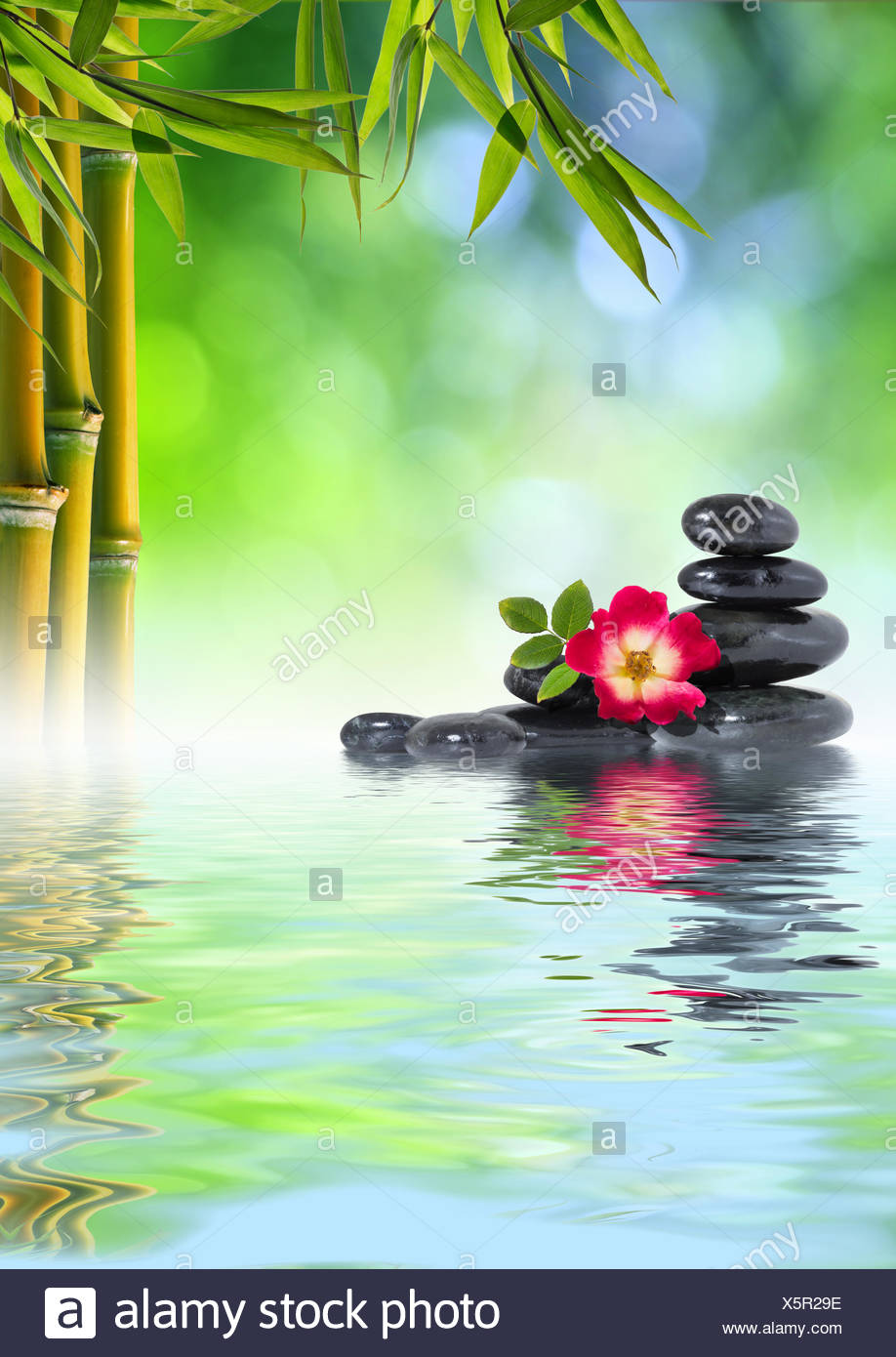 Bamboo Massage High Resolution Stock Photography and Images - Alamy