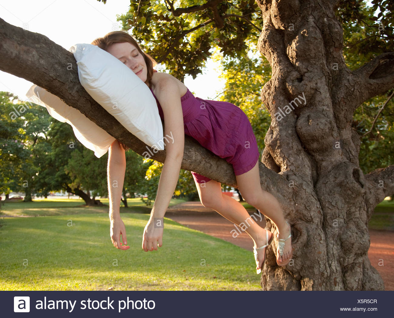 Sleeping Beauty High Resolution Stock Photography and Images - Alamy