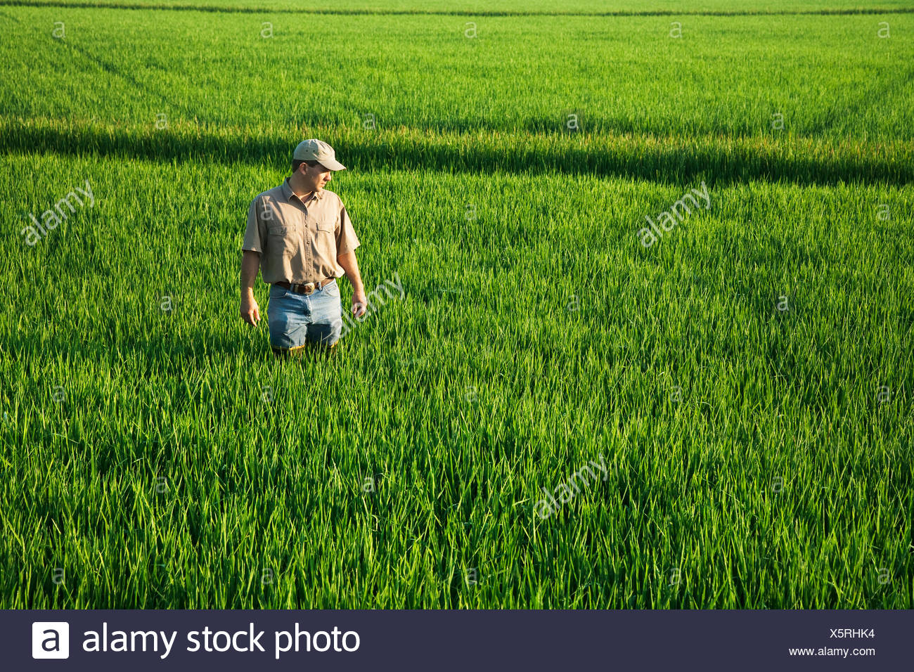Farmer Walk Stock Photos & Farmer Walk Stock Images - Alamy