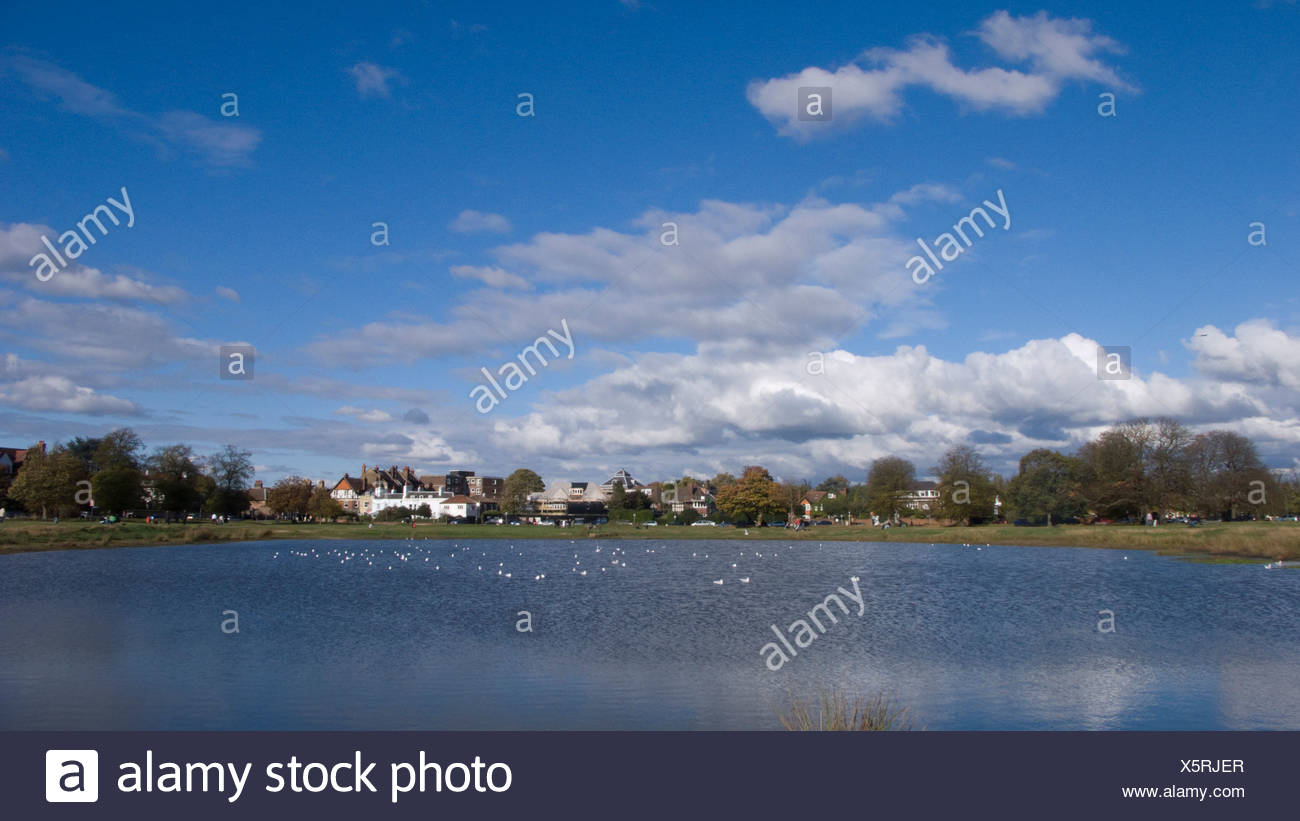 Pond London Wimbledon Common High Resolution Stock Photography and ...
