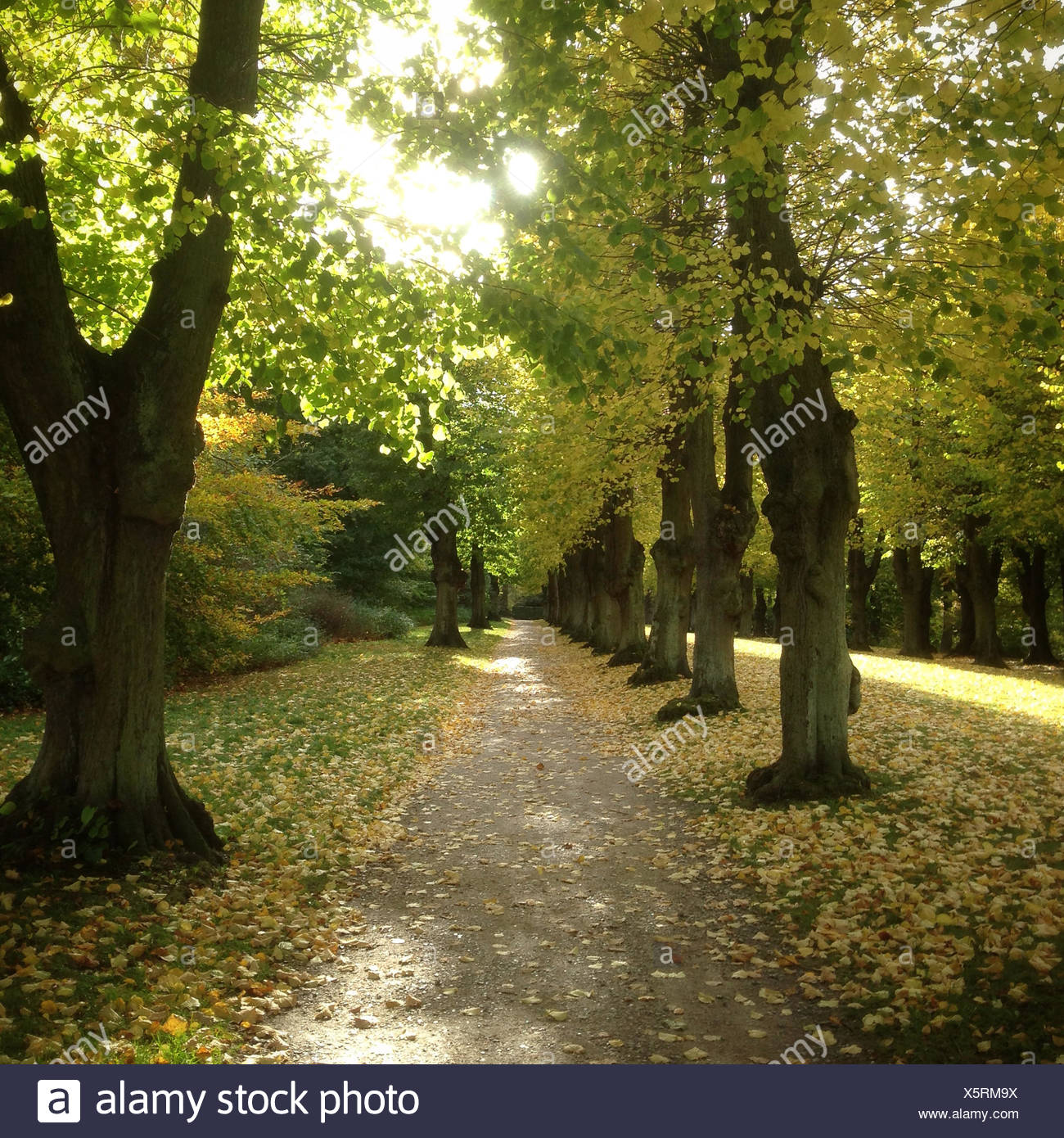 Lined Stock Photos & Lined Stock Images - Alamy