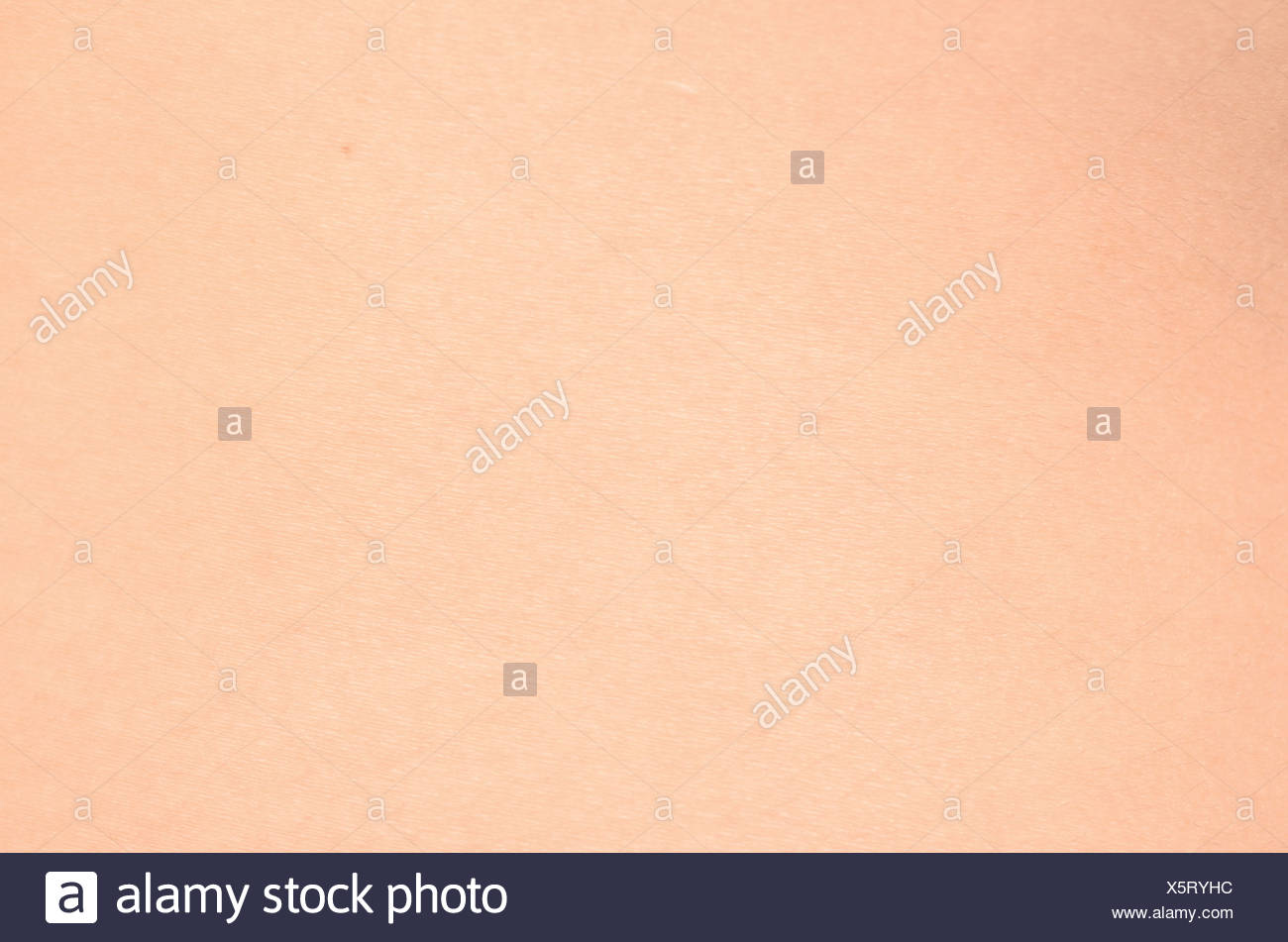 Human Skin Texture High Resolution Stock Photography and Images - Alamy