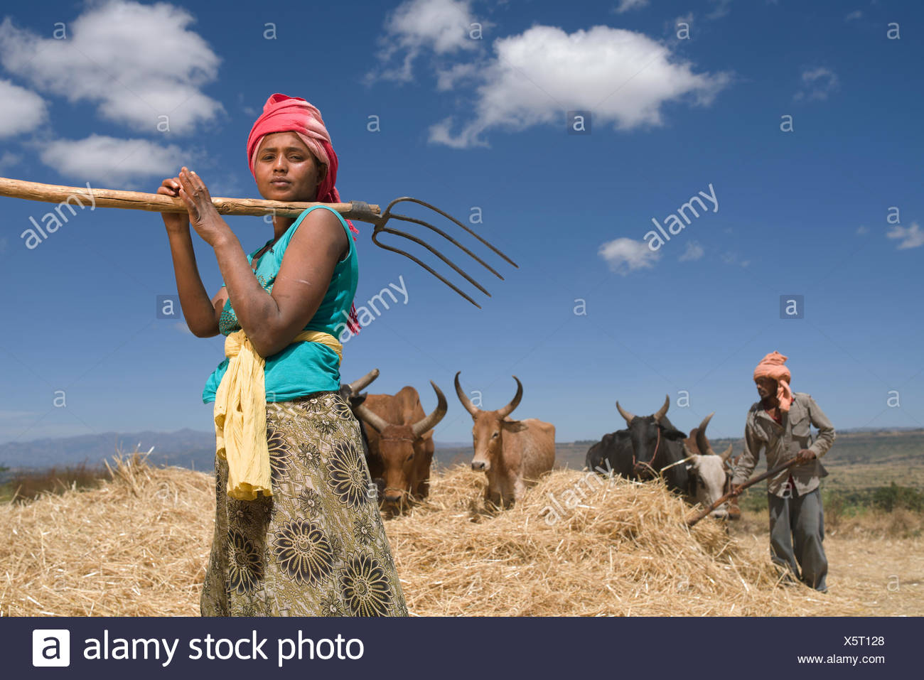 Woman Winnowing Wheat Stock Photos & Woman Winnowing Wheat Stock Images ...