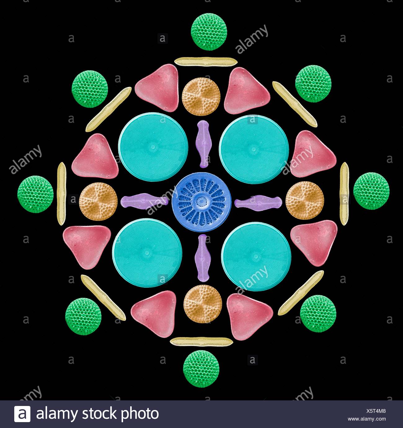 Silica And Diatoms High Resolution Stock Photography and Images - Alamy