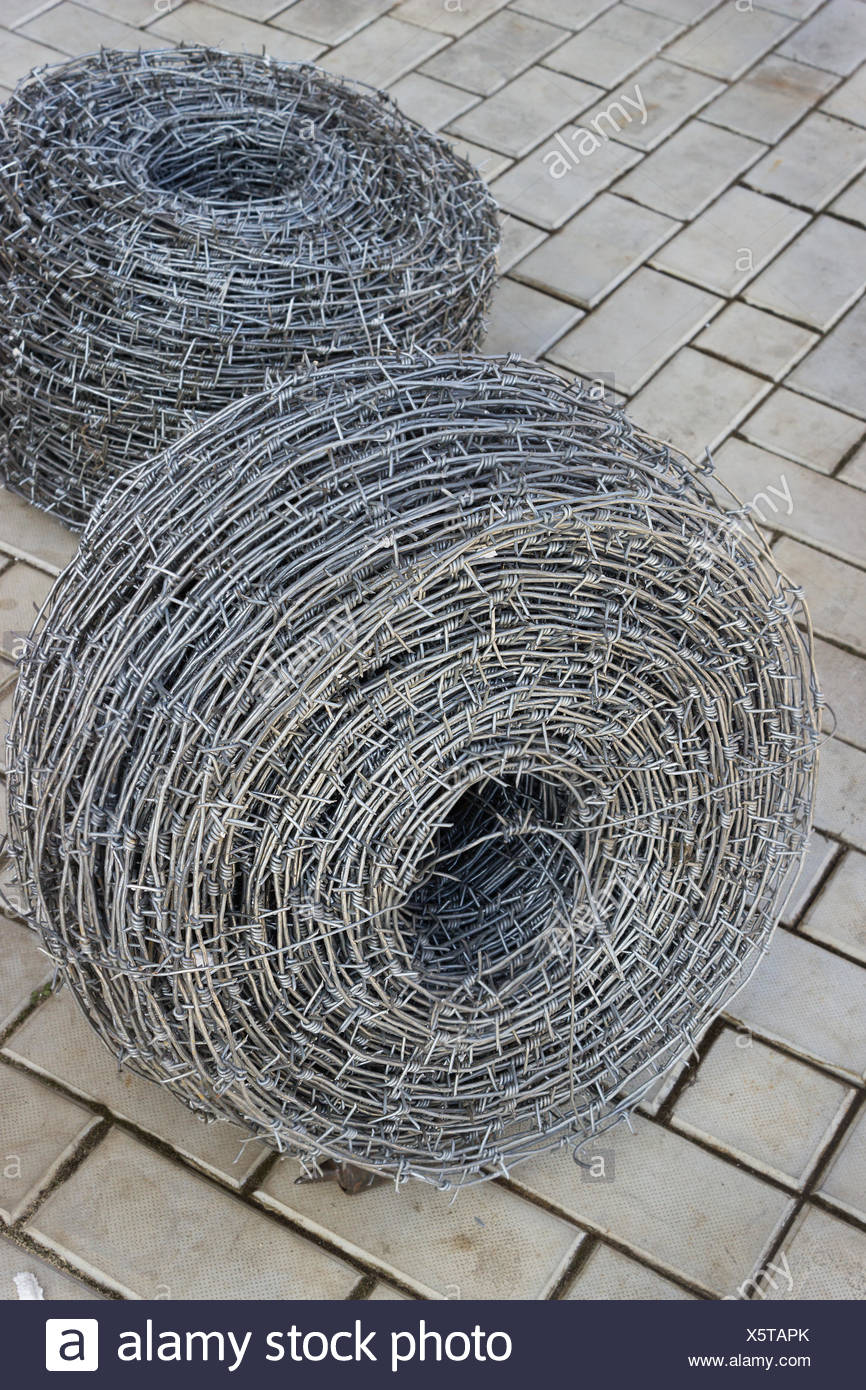 Barbed Shield High Resolution Stock Photography and Images - Alamy