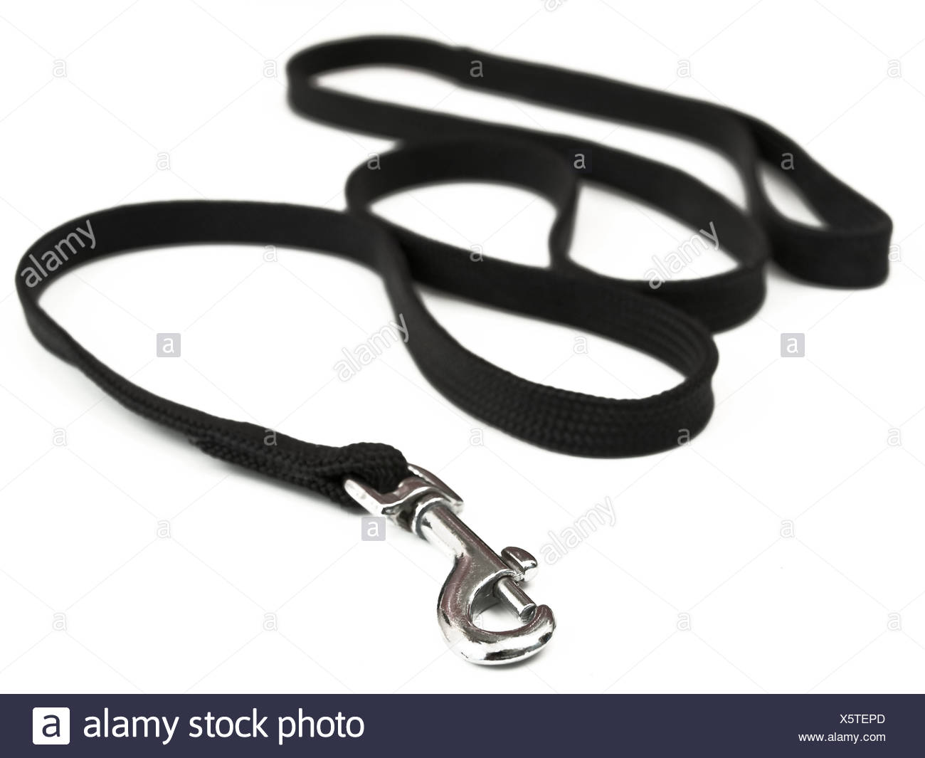 Dog Lead Stock Photos & Dog Lead Stock Images - Alamy